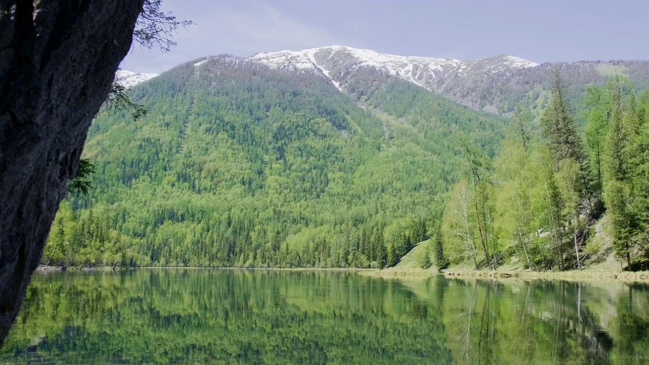 CGTN Nature: Altai Mountains Series | Episode 5: Taiga Forest - CGTN
