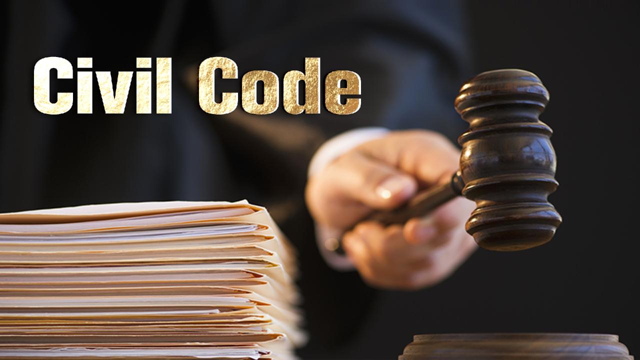 China's Civil Code: Regulating online infringement - CGTN