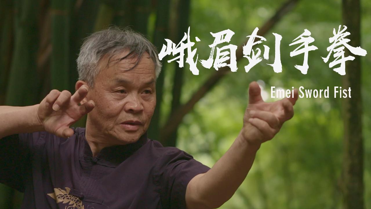 Emei sword fist: A 150-year-old inherited martial art technique - CGTN