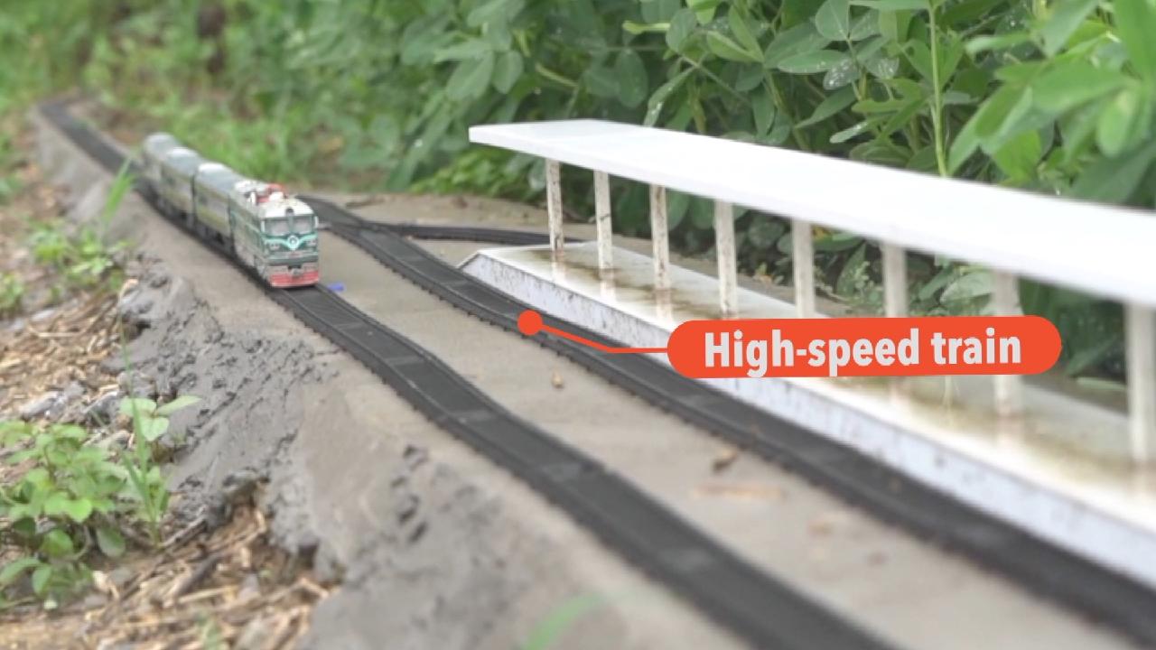 College student built miniature high-speed train in a vegetable plot - CGTN