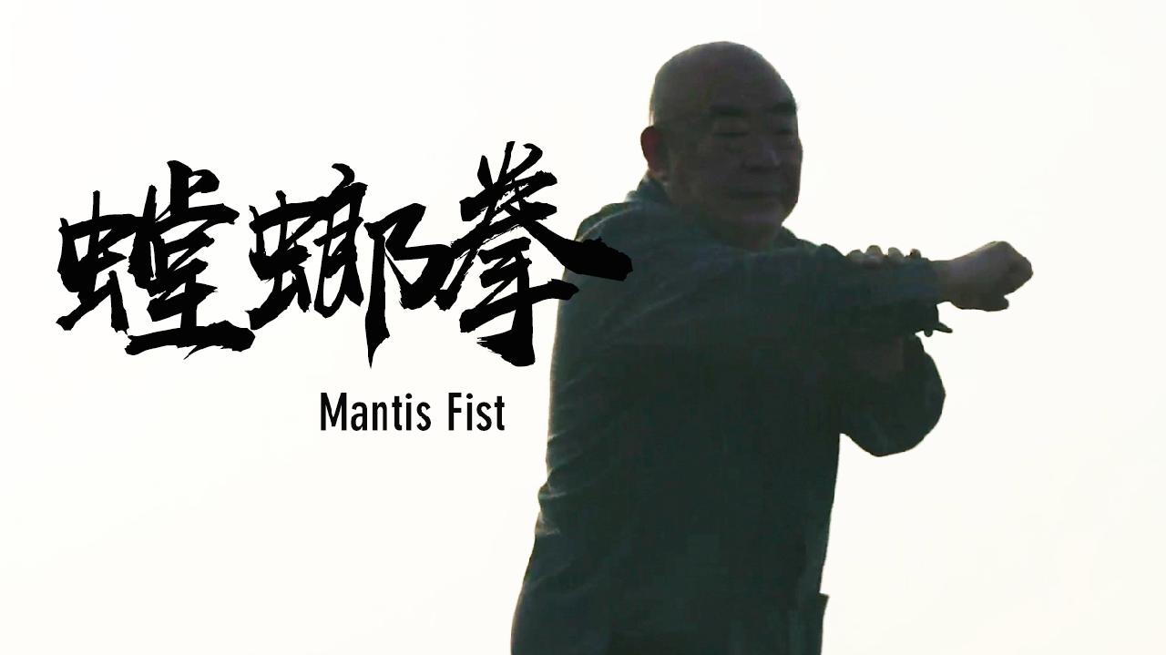 Mantis Fist: Routines in martial arts reflect the philosophy of life - CGTN