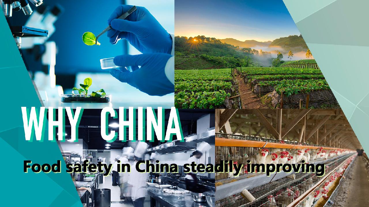 Food safety steadily being improved in China - CGTN