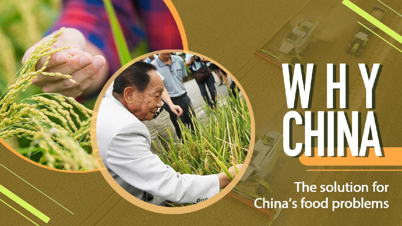 The solution for China's food problems - CGTN