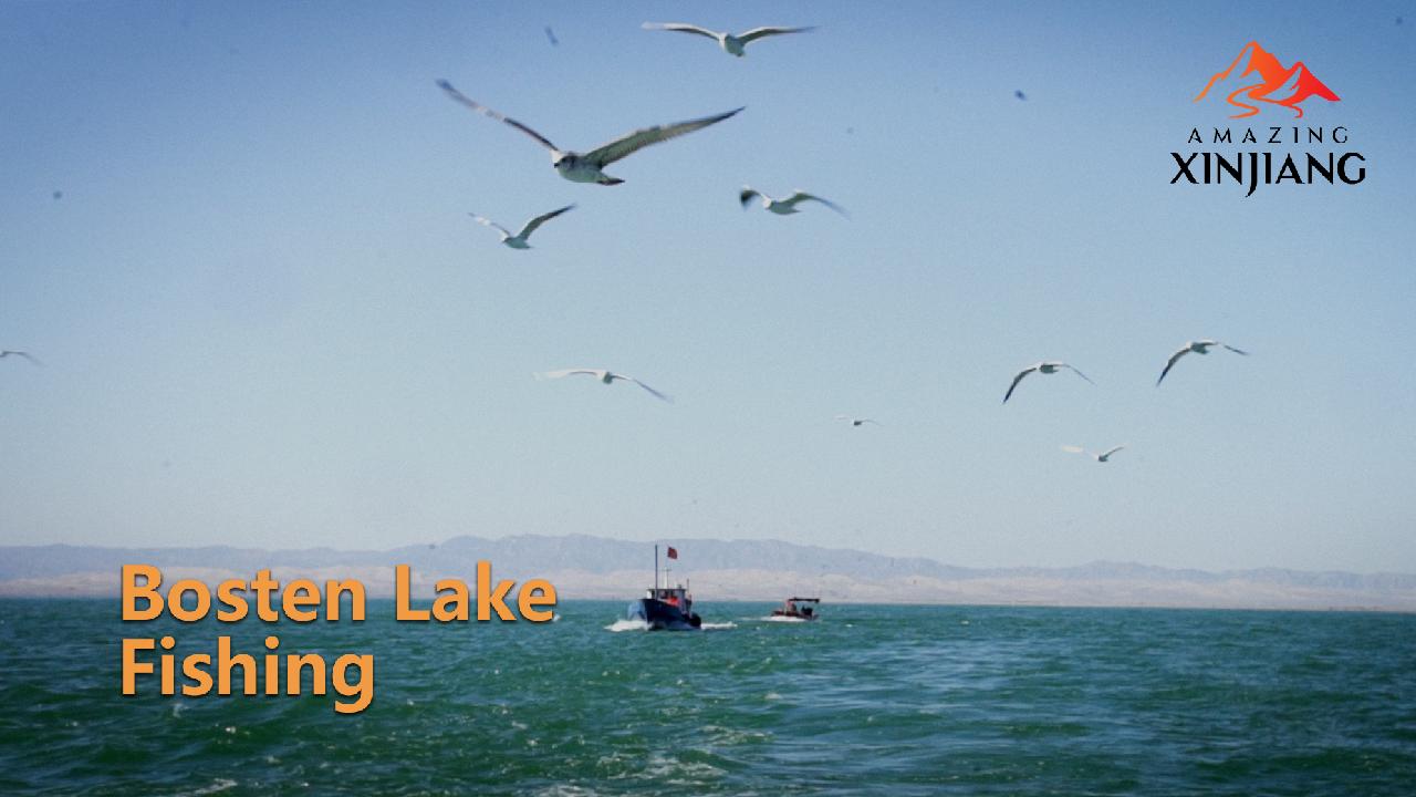 Largest inland freshwater lake provides fish to southern Xinjiang - CGTN