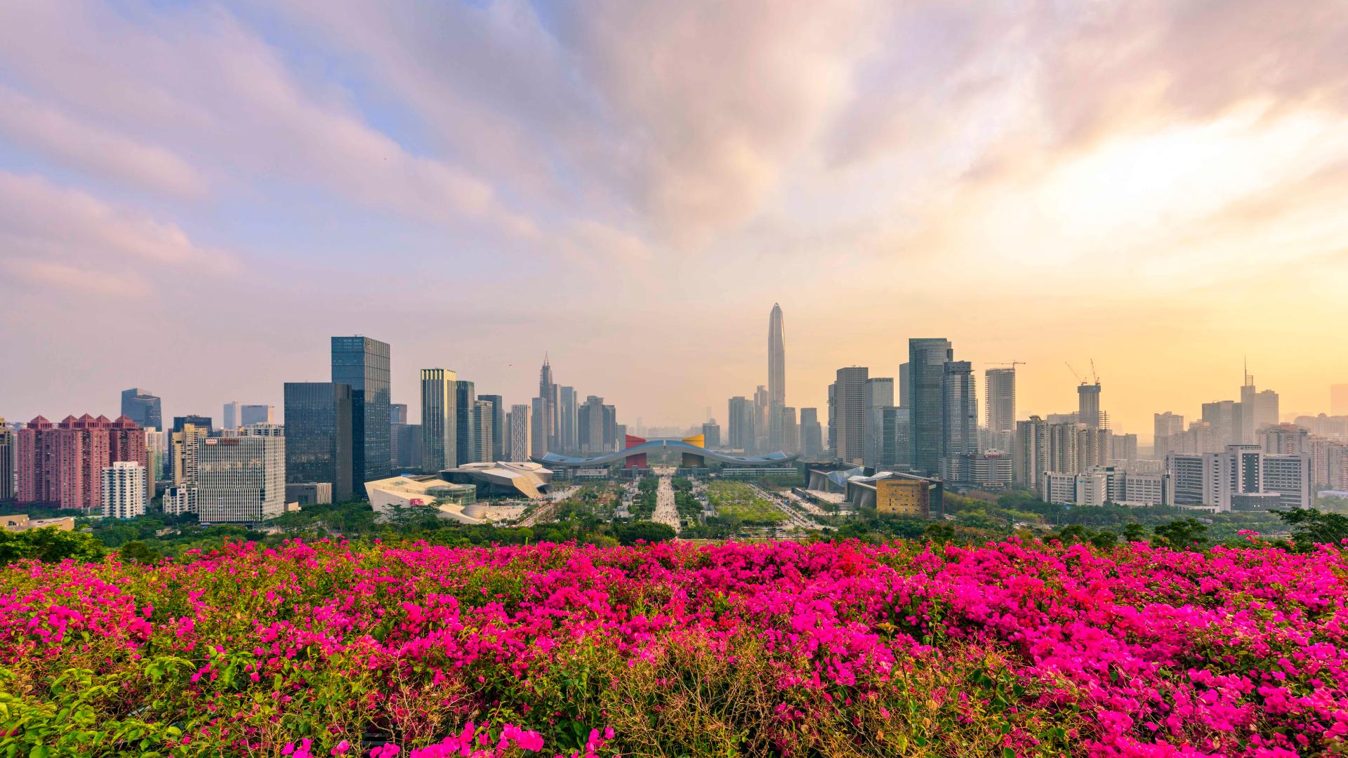 Looking back and forward: Shenzhen Special Economic Zone - CGTN