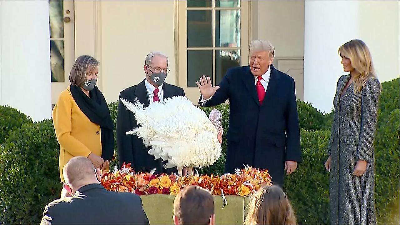 Trump pardons 'lucky' Thanksgiving turkey - CGTN