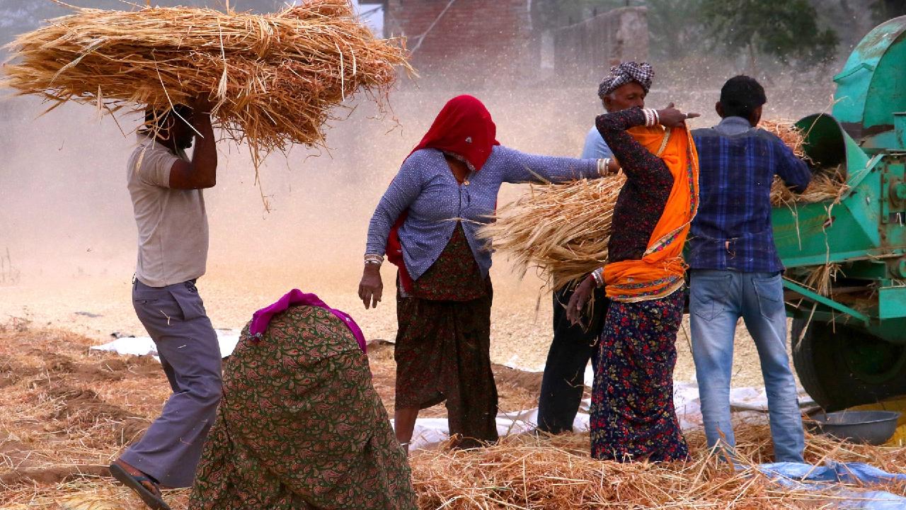 Angry farmers clash with police over farm reforms in India - CGTN