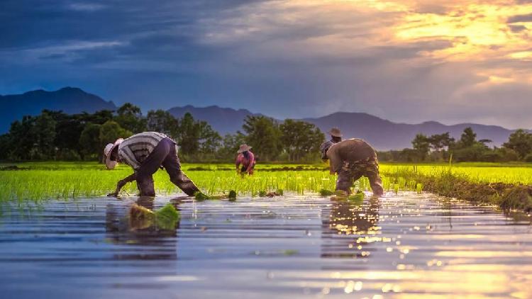 Full Episode - How is poverty alleviation working in rural areas? - CGTN