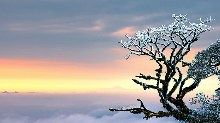 Winter heaven: Rime and fog create frigid landscape in S China - CGTN