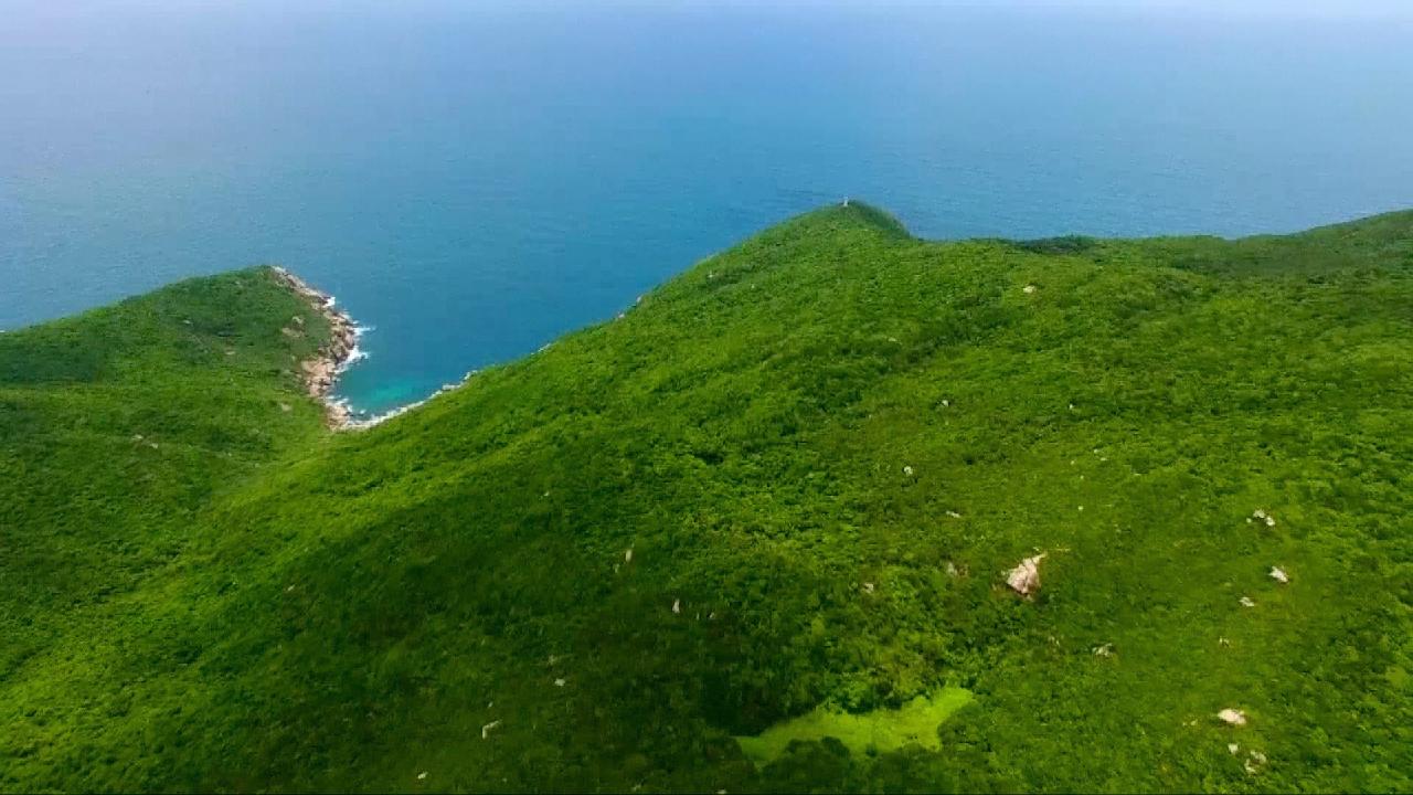 Hainan Tropical Rainforest National Park established - CGTN