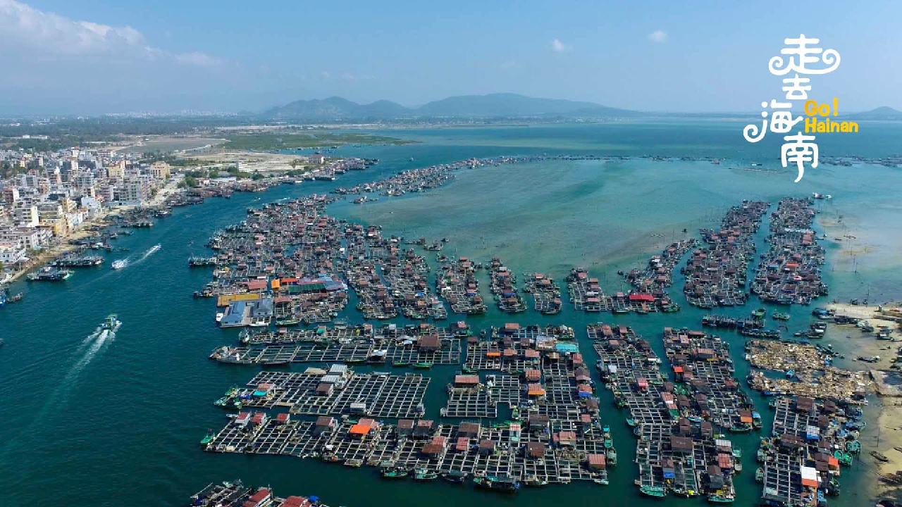 Bird's eye view of Hainan: A village on the sea - CGTN