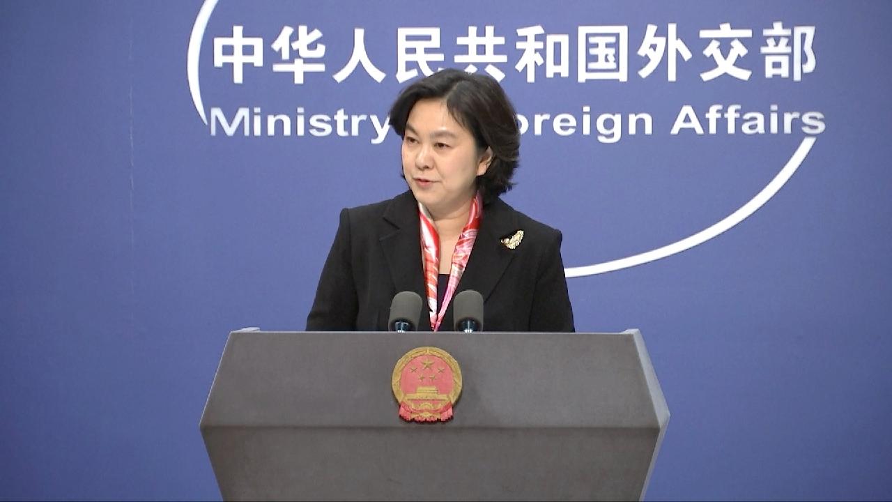 Chinese, WHO experts have in-depth communication on origin tracing - CGTN