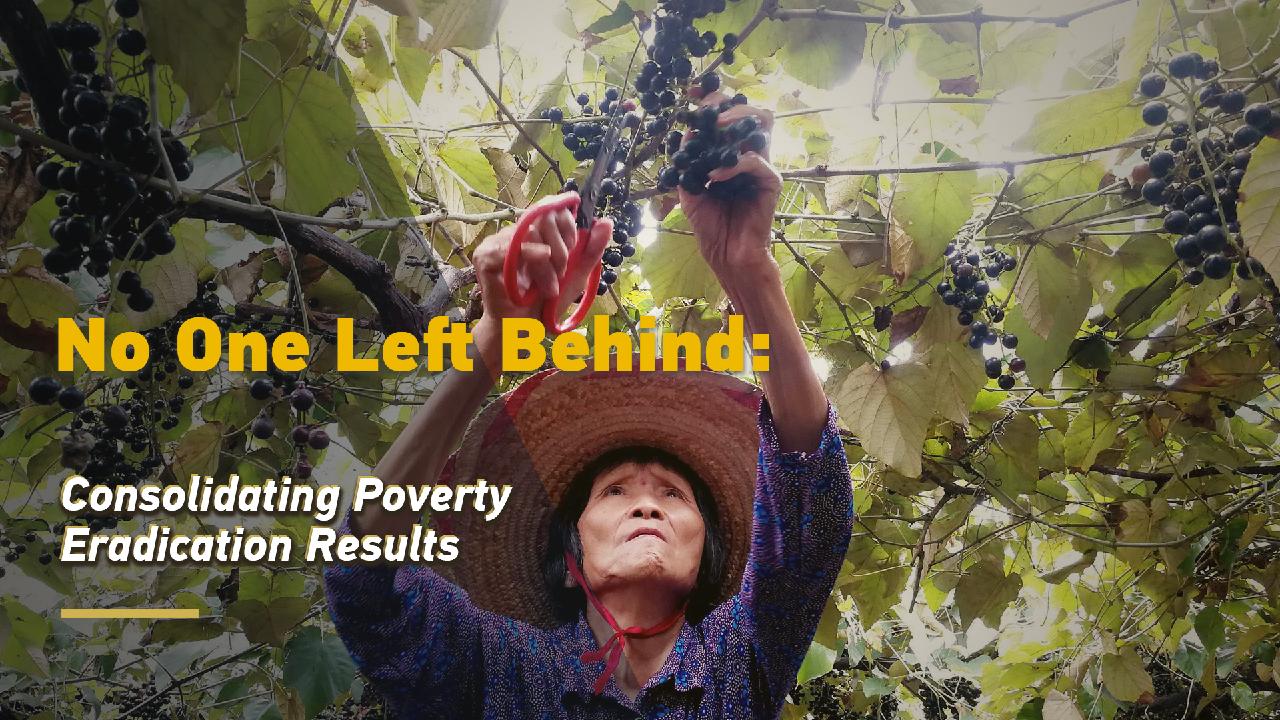 No One Left Behind: Consolidating poverty eradication results - CGTN