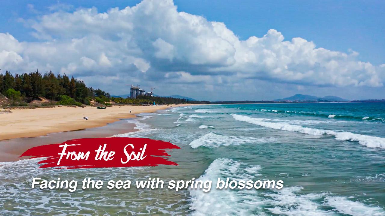 From the soil: Facing the sea with spring blossoms - CGTN