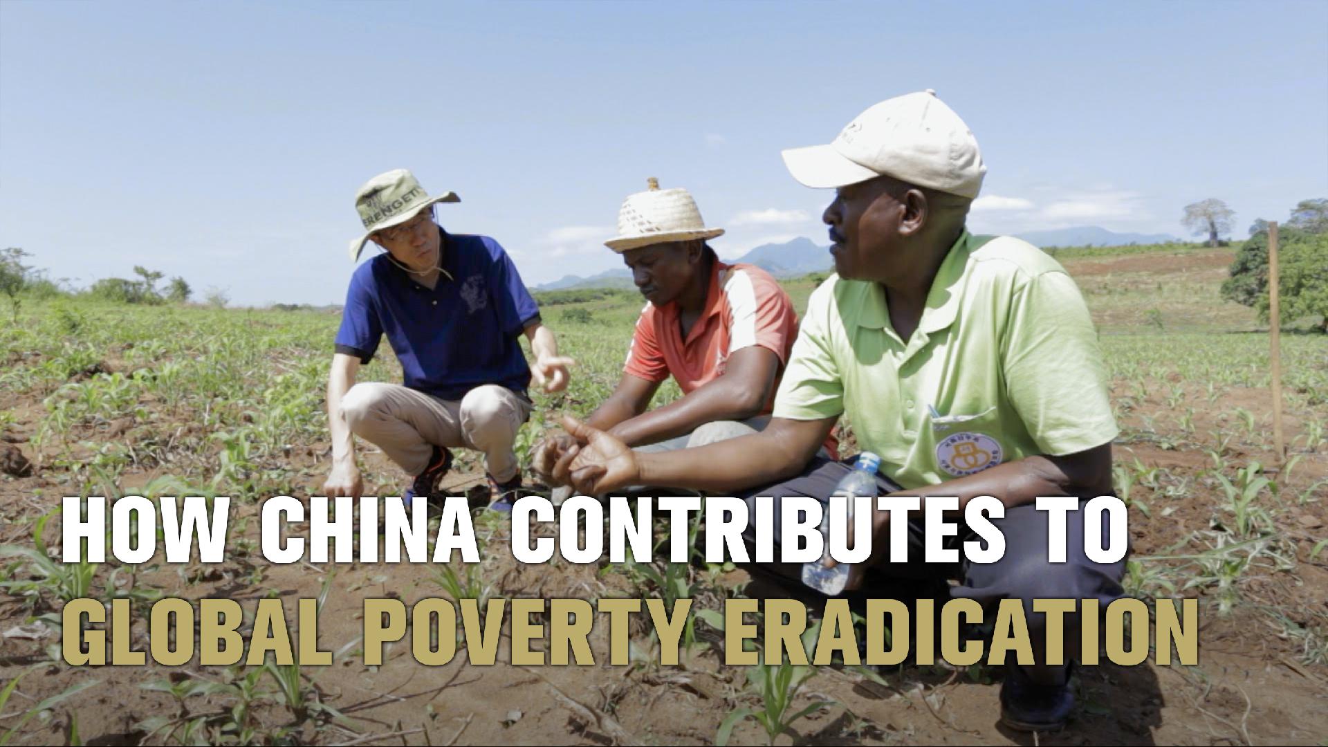 How is China contributing to global poverty eradication? - CGTN