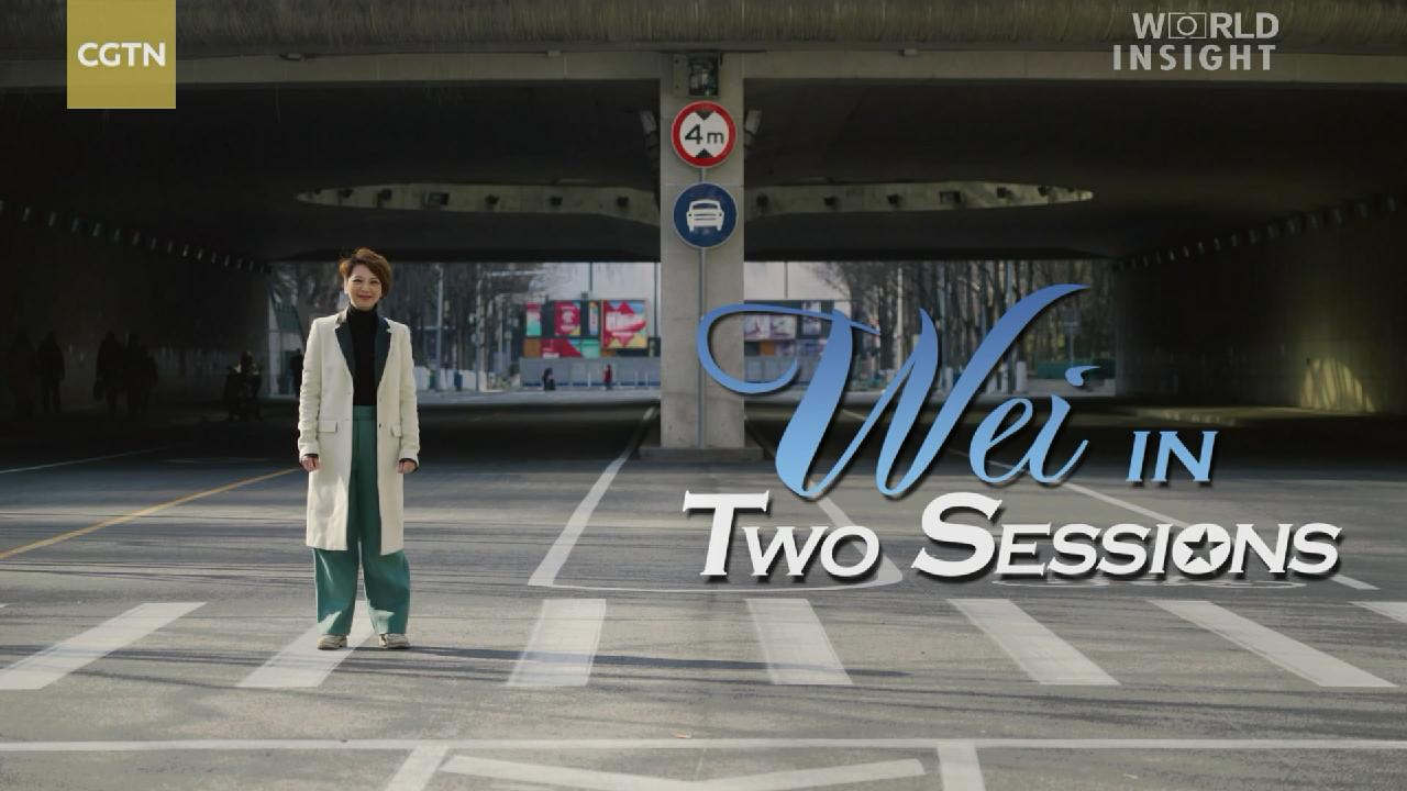 Wei in Two Sessions - CGTN