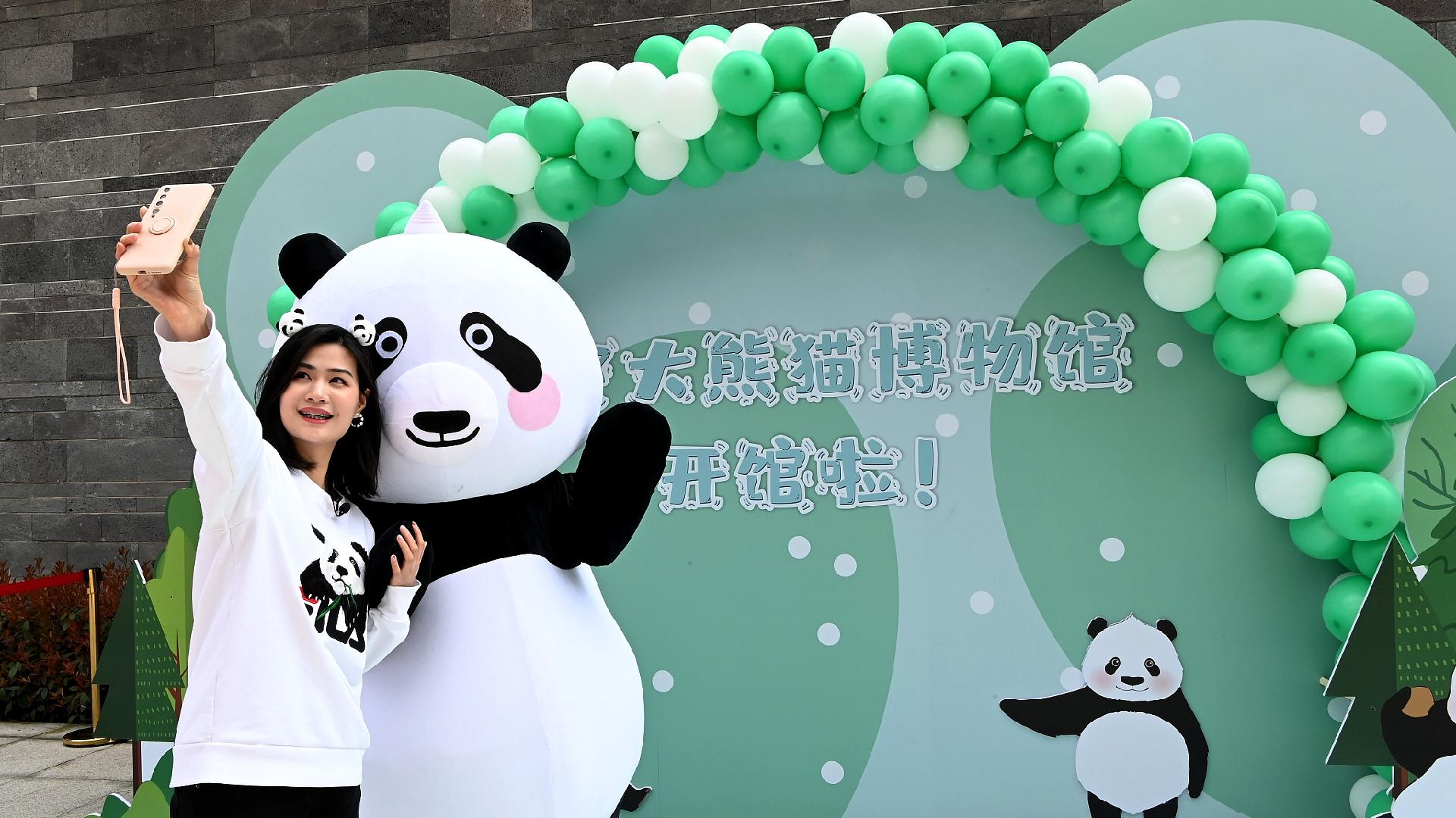 World's first interactive panda museum opens in SW China's Chengdu - CGTN