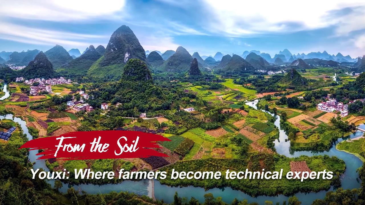 From the Soil: Youxi – Where farmers become technical experts - CGTN