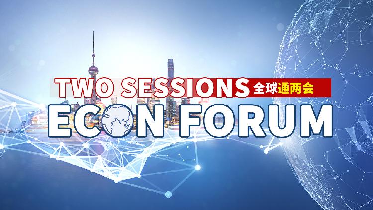 Two Sessions Econ Forum EP3 - CGTN