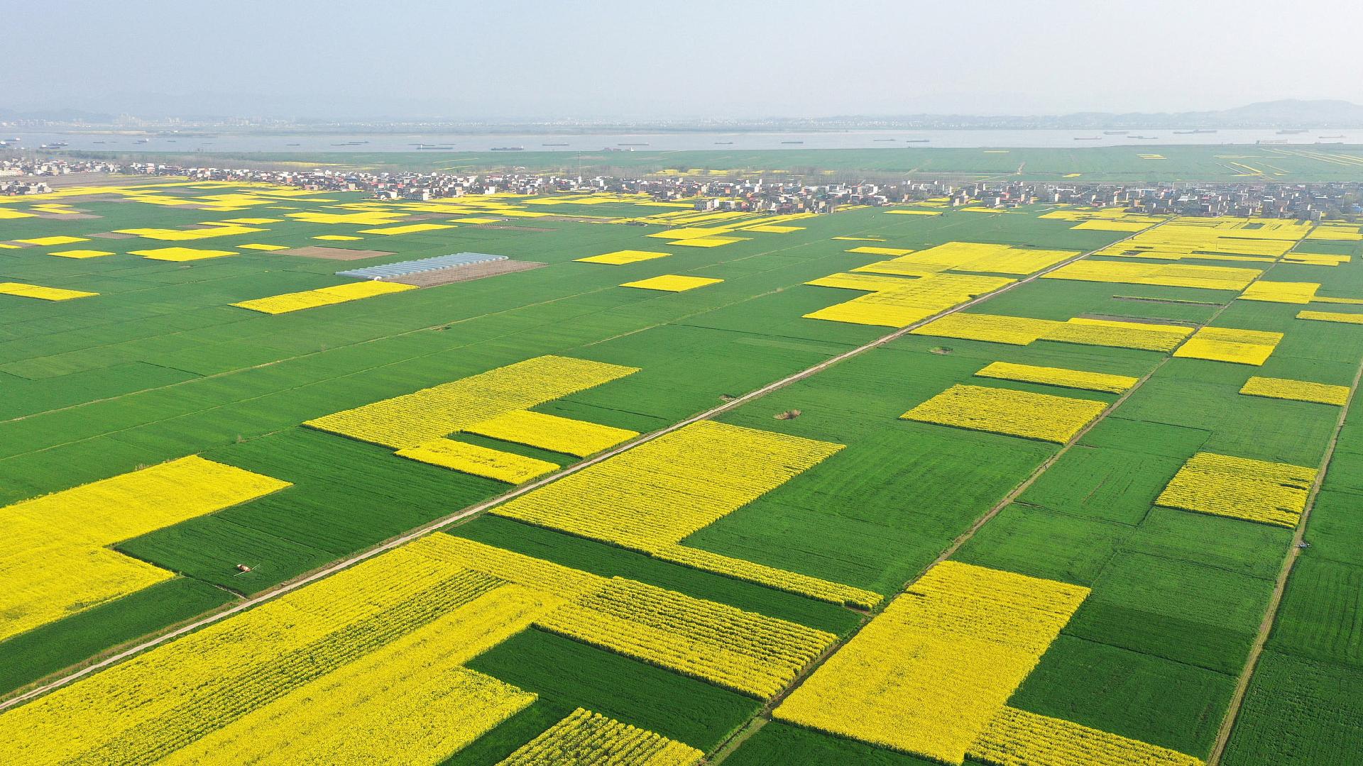 Xi Jinping highlights China's efforts to achieve environmental goals - CGTN