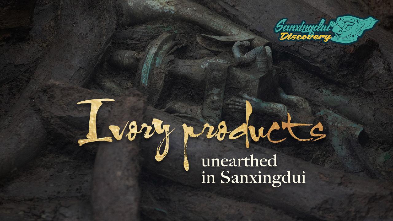 Ancient ivory carvings unearthed in Sanxingdui - CGTN
