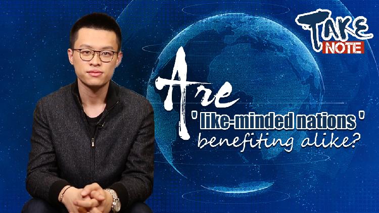 Are 'like-minded nations' benefiting alike? - CGTN