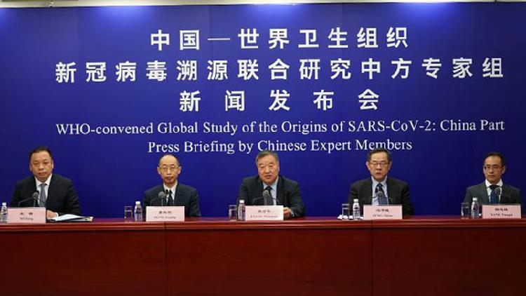 Chinese experts brief media on China-WHO joint study on virus origin - CGTN