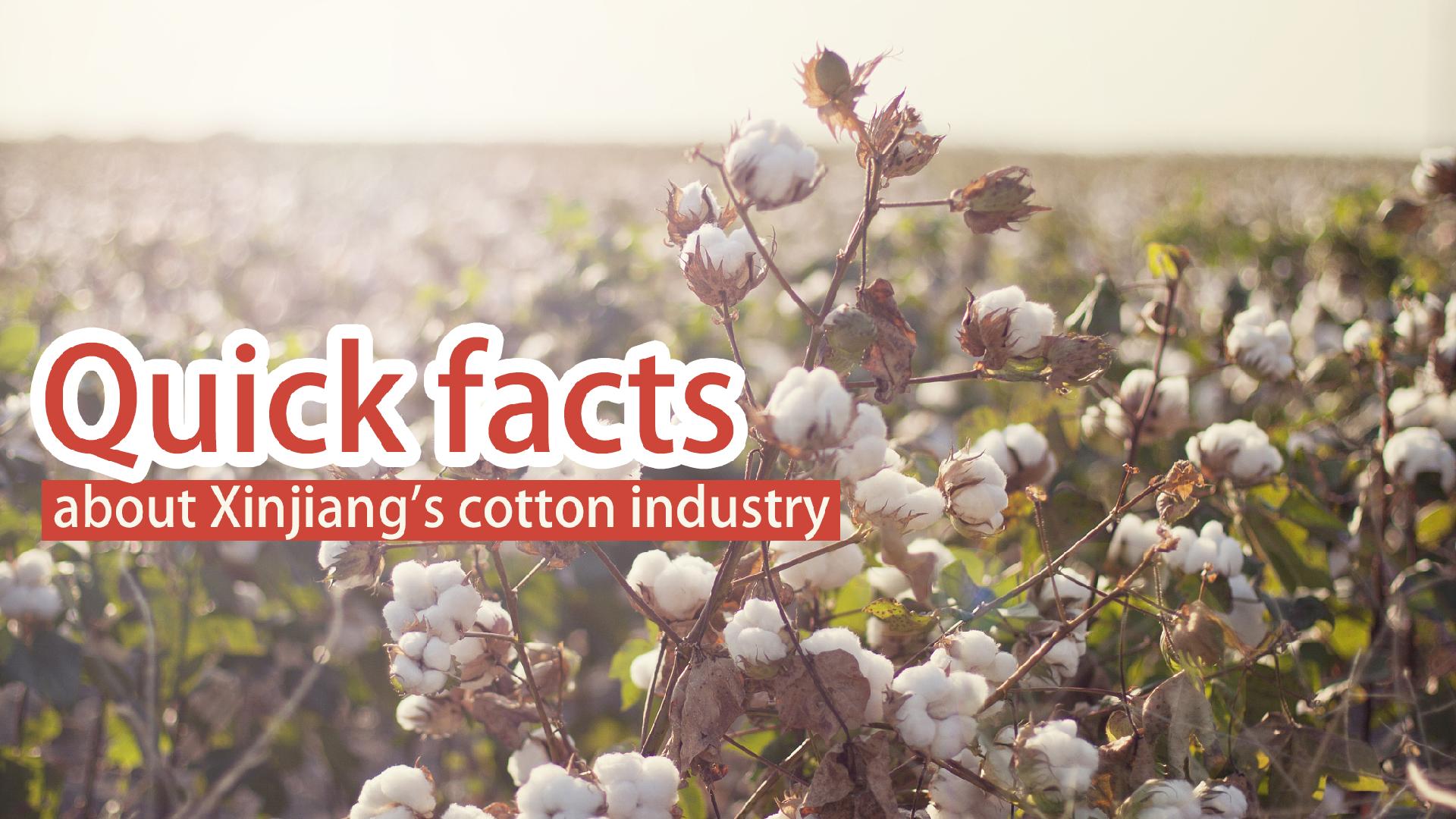 Quick facts about Xinjiang's cotton industry - CGTN