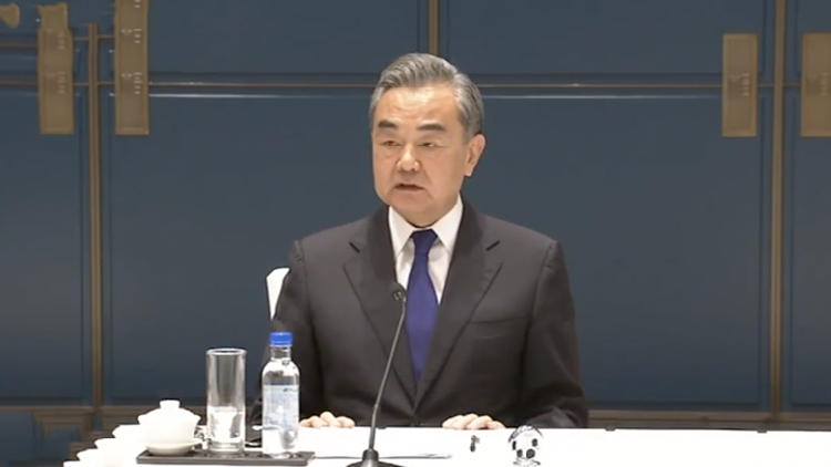 Wang Yi talks COVID-19 vaccine, trade, infrastructure and other topics ...