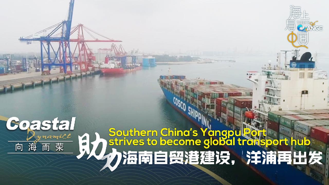 South China's Yangpu Port strives to become global transport hub - CGTN