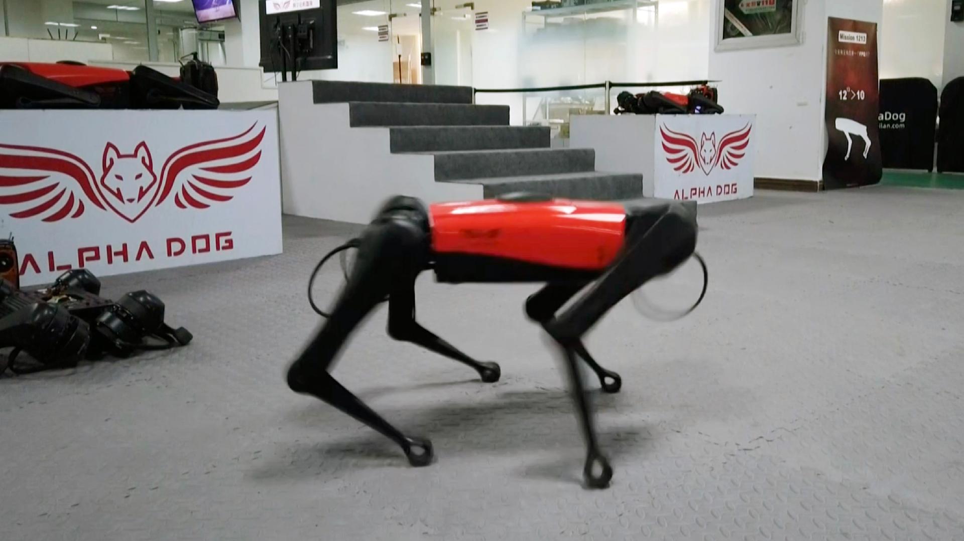 The ulti-mutt pet? Chinese tech company develops robo-dogs - CGTN