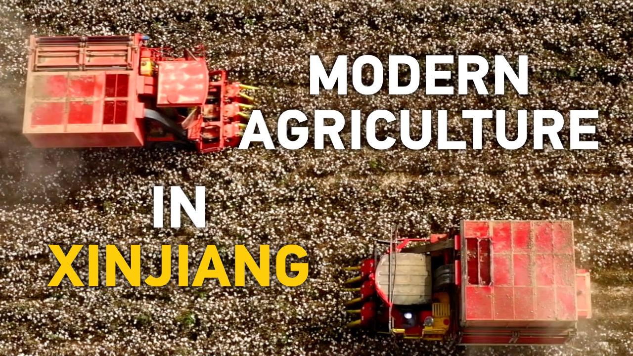 Take a look at modern agriculture in Xinjiang - CGTN