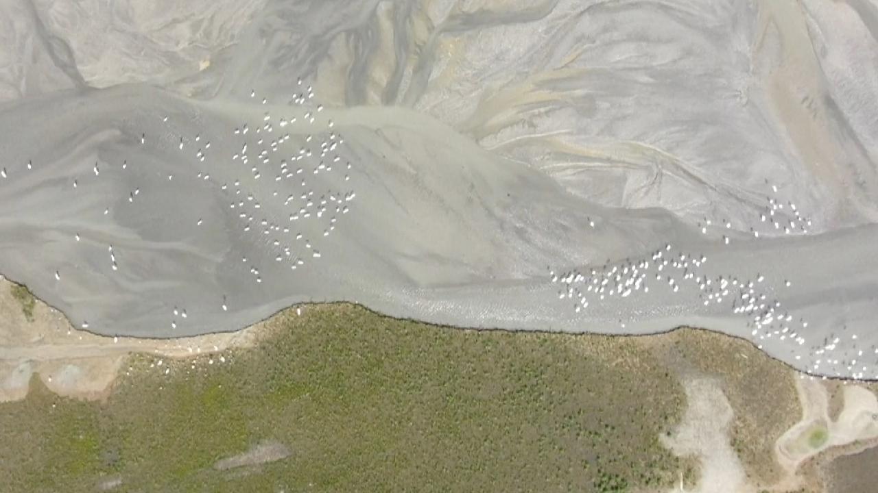 Taiwan faces worst water shortage in 56 years - CGTN