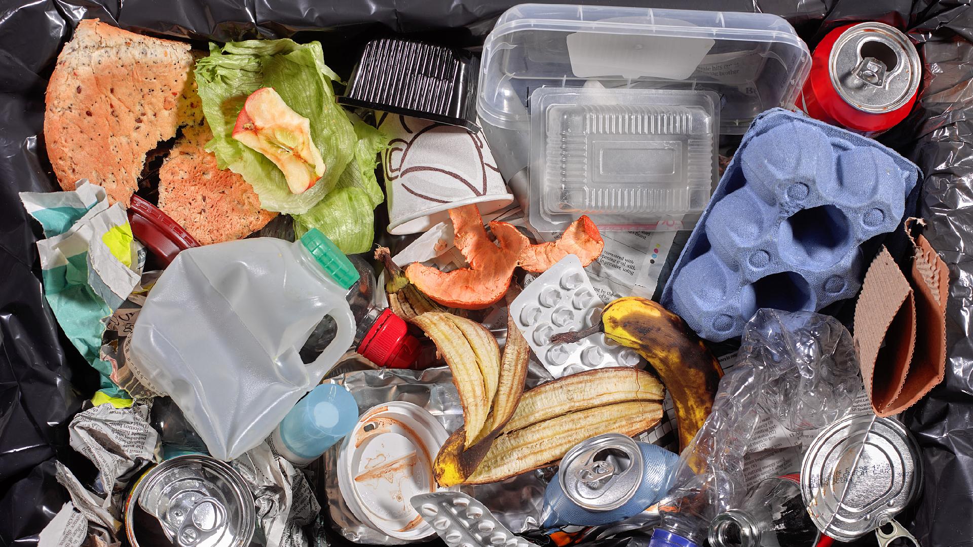 China passes anti-food waste law to ensure national food security - CGTN
