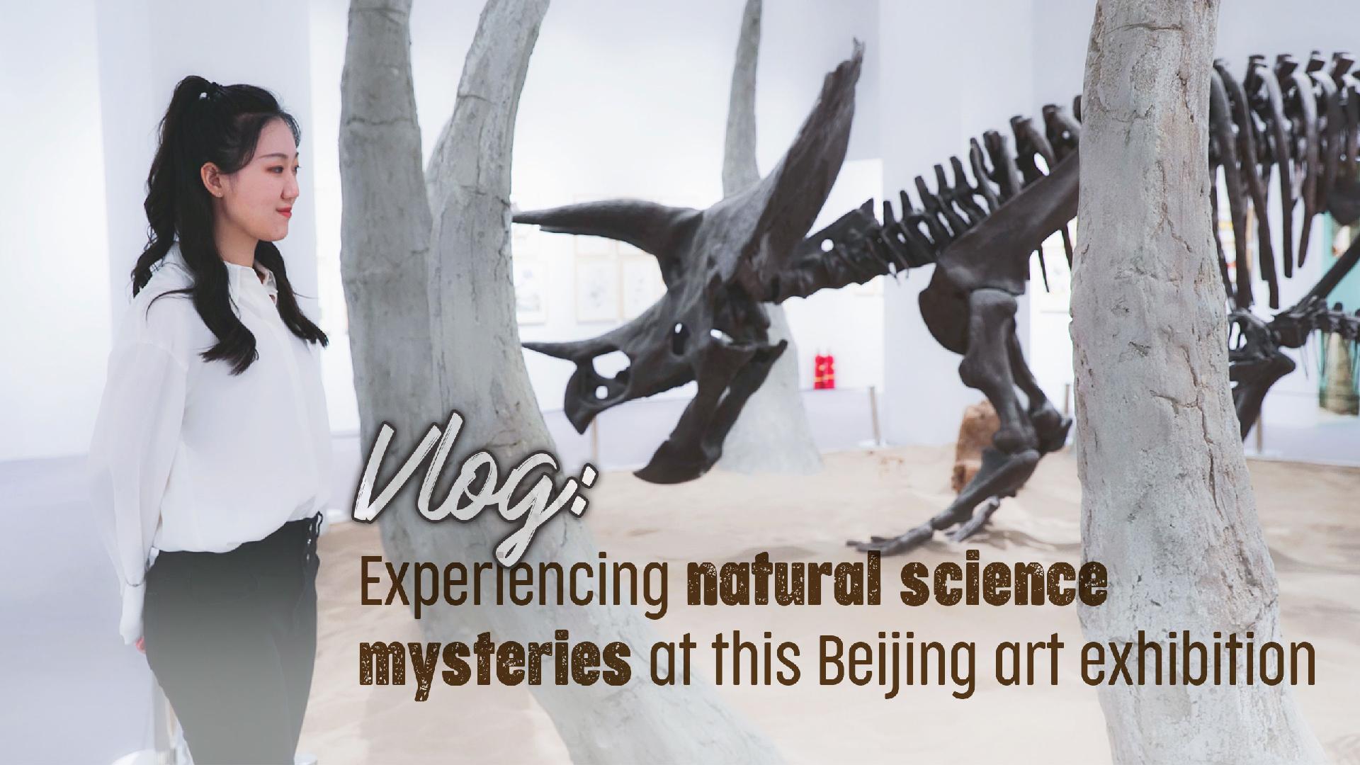 Experience natural science mysteries at this Beijing art exhibition - CGTN