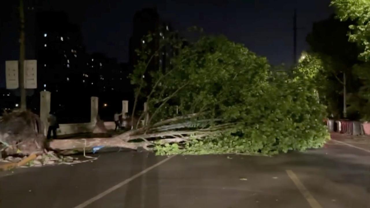Extreme weather kills 11 in east China's Nantong - CGTN