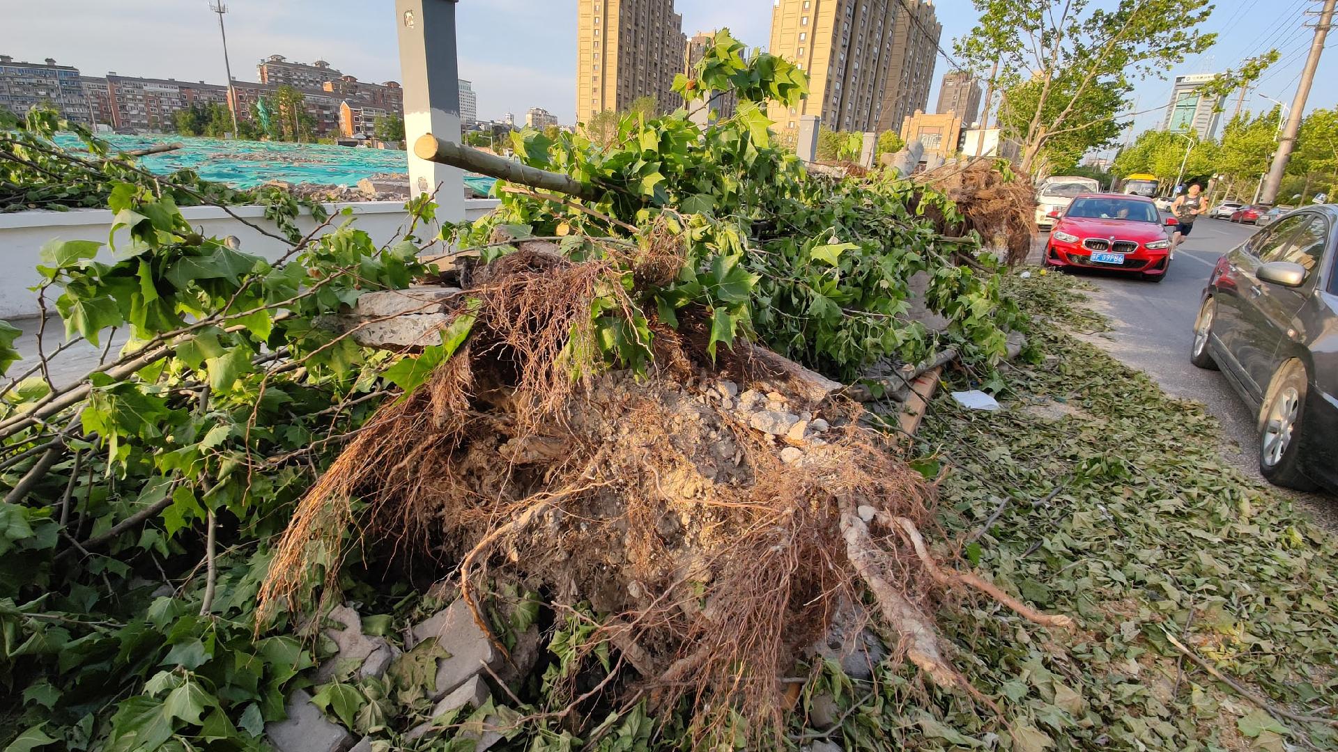 At least 11 dead, 102 injured in sudden storm in E China's Nantong - CGTN