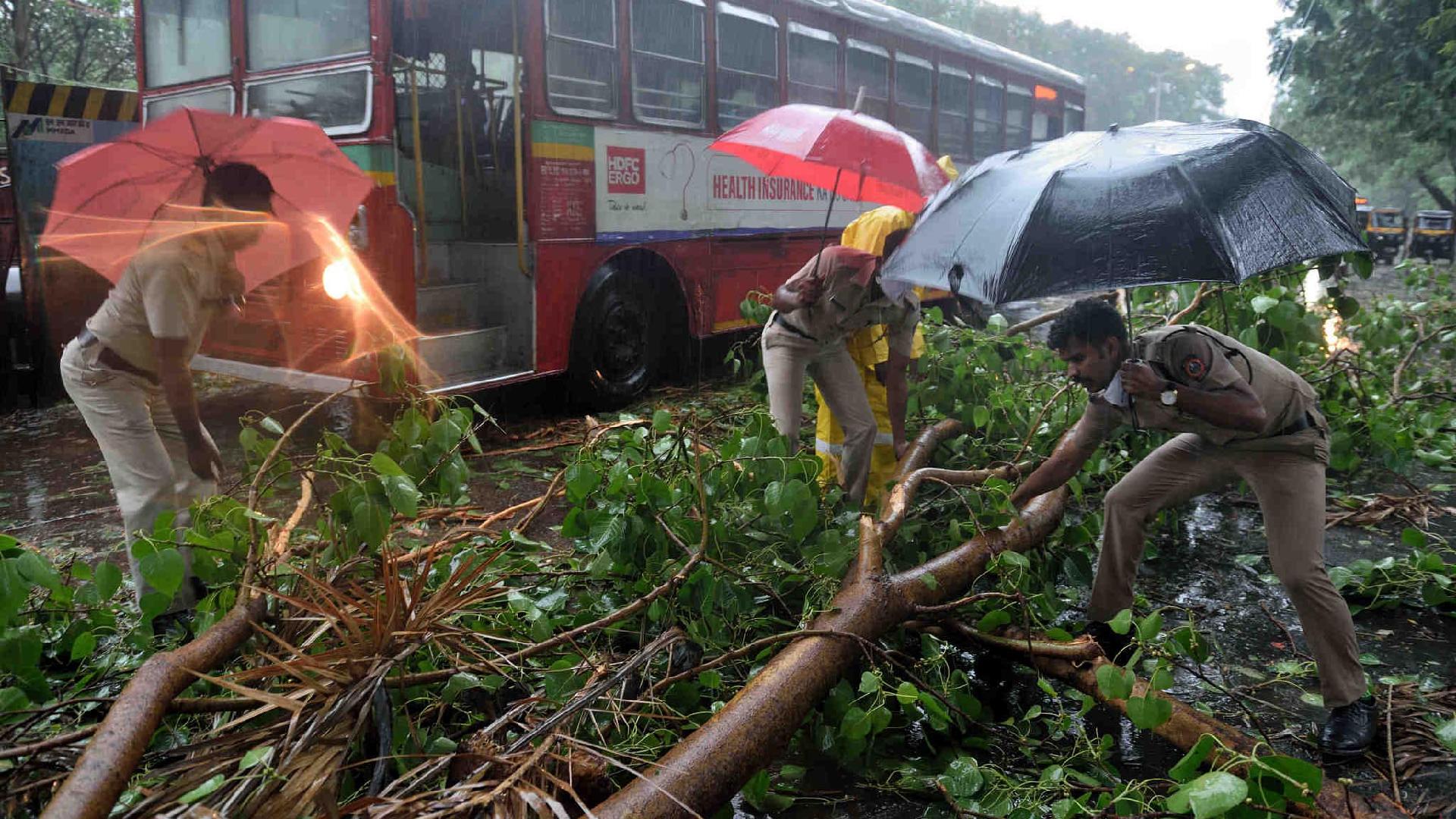 India reports record high deaths from cyclone Tauktae - CGTN
