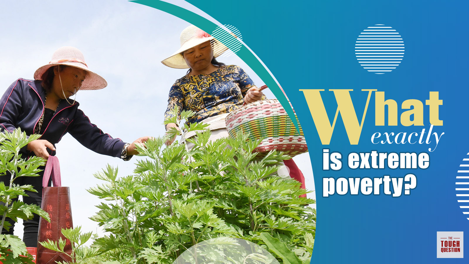 Wang Kailin - Star - CGTN