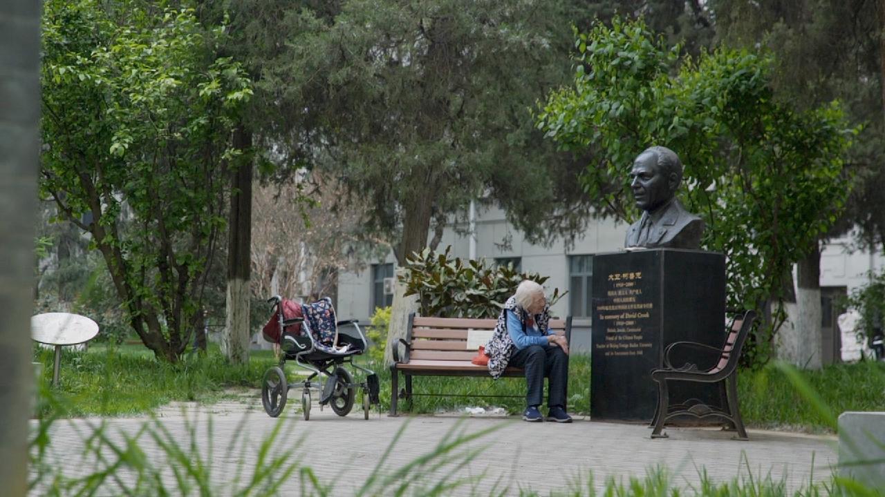 'I'm glad I did what I did' - Isabel Crook - CGTN