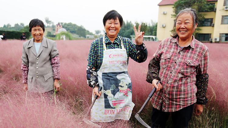 How does enclave economy model benefit villages in Zhejiang? - CGTN