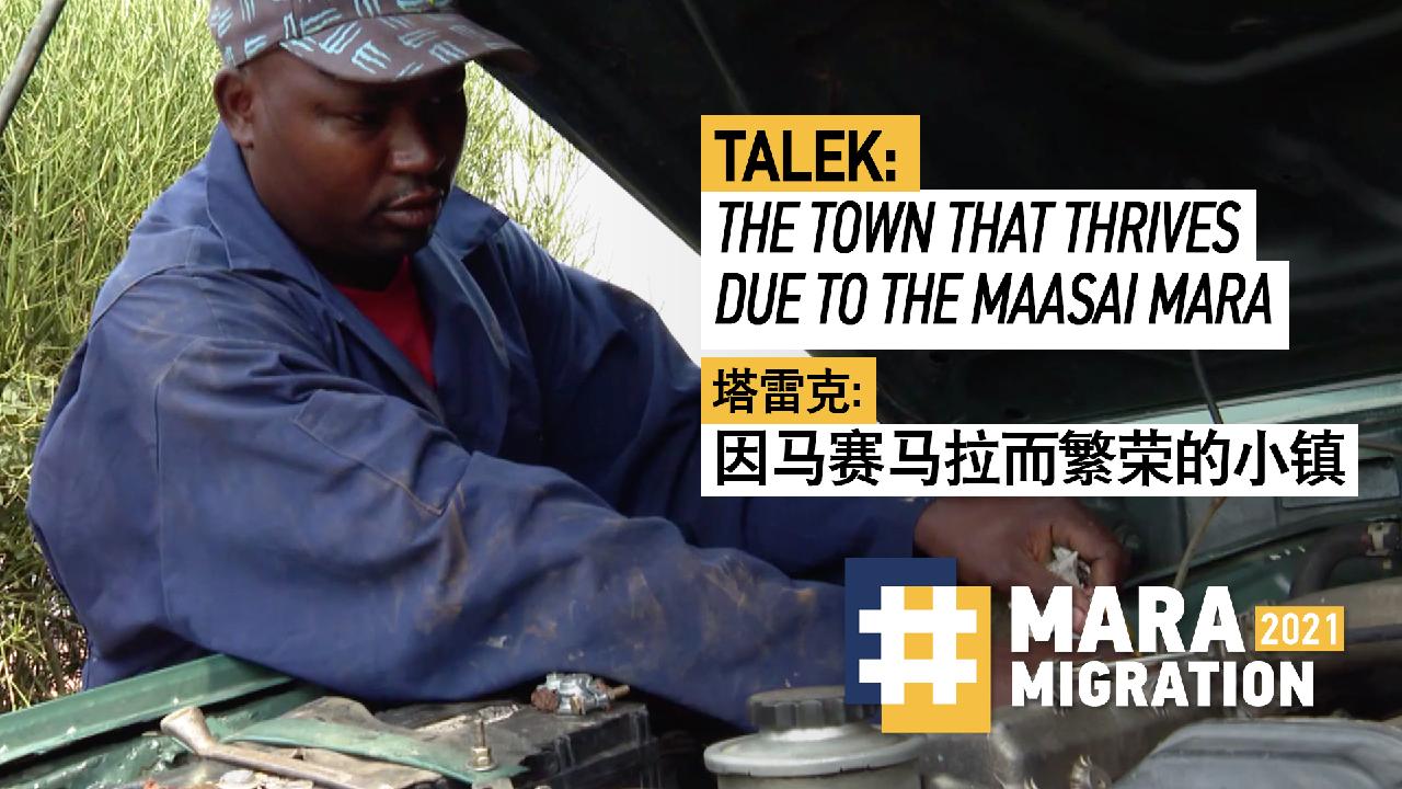 Talek: The town that thrives due to the Maasai Mara - CGTN