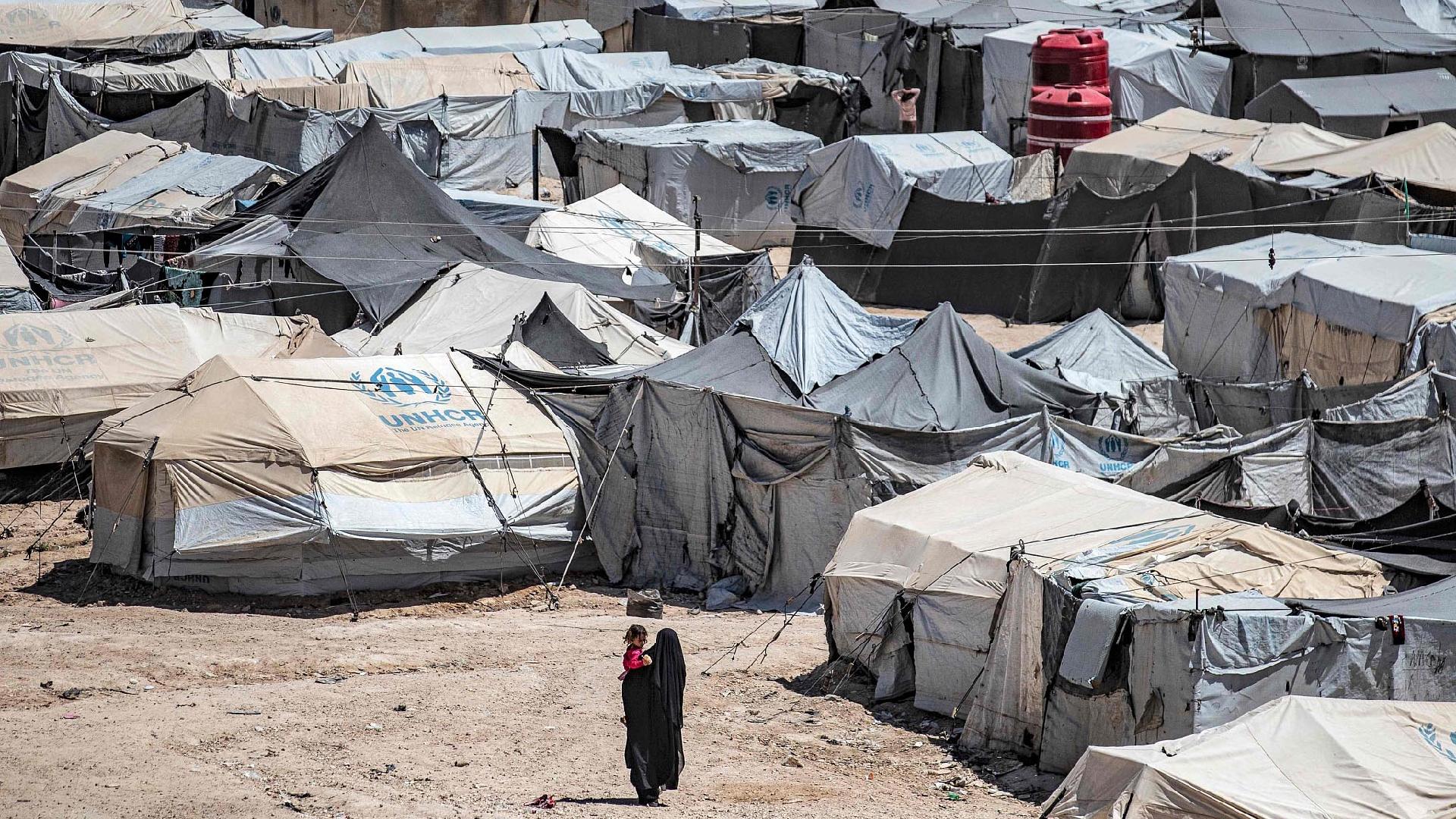 Displaced farmers in Syria face food insecurity - CGTN