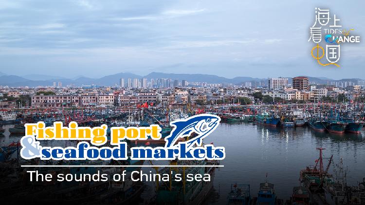 Fishing port and seafood markets: The sounds of China's sea - CGTN