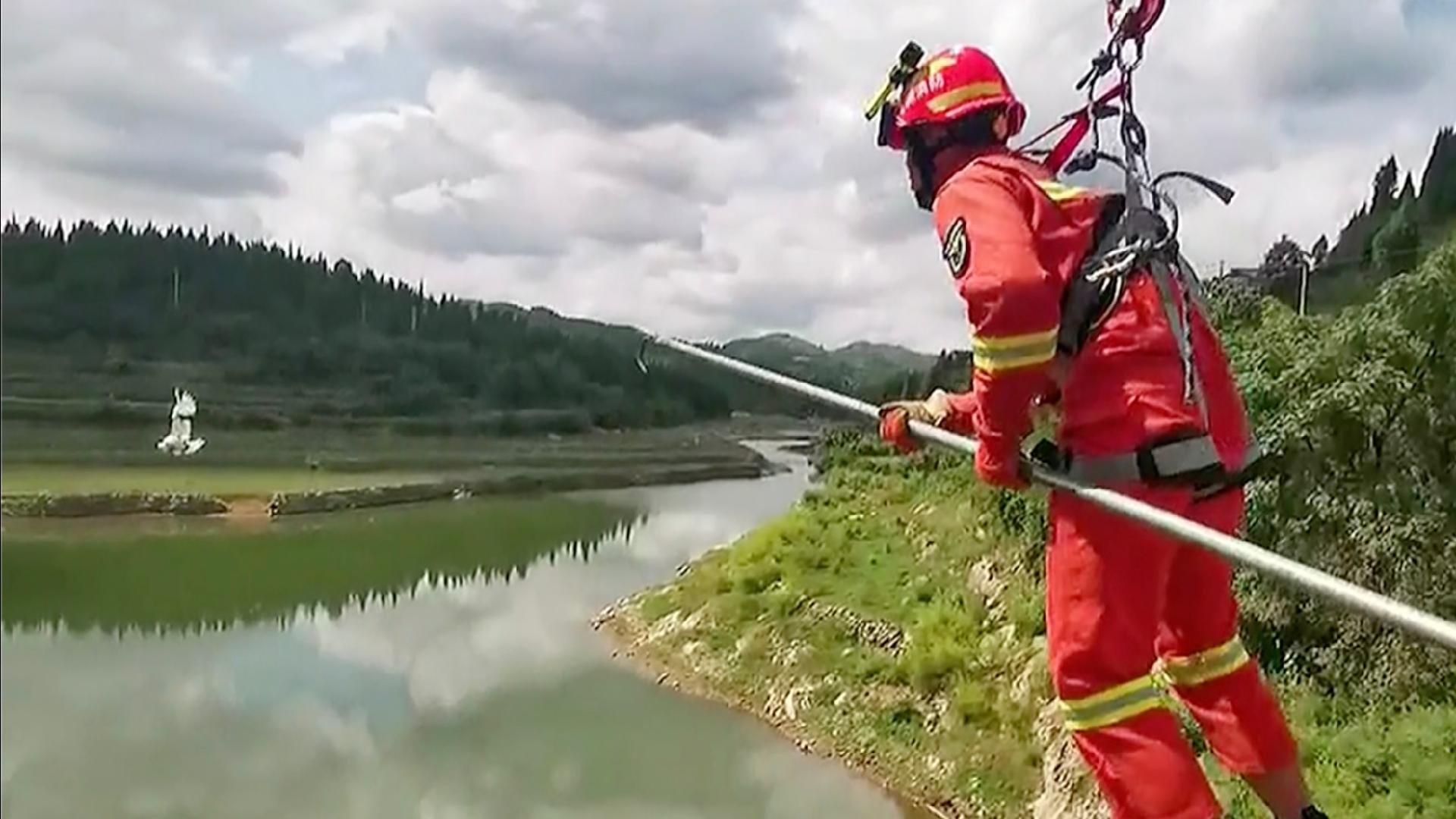 Sweet moments of Chinese firefighters rescuing bird tangled mid-air - CGTN