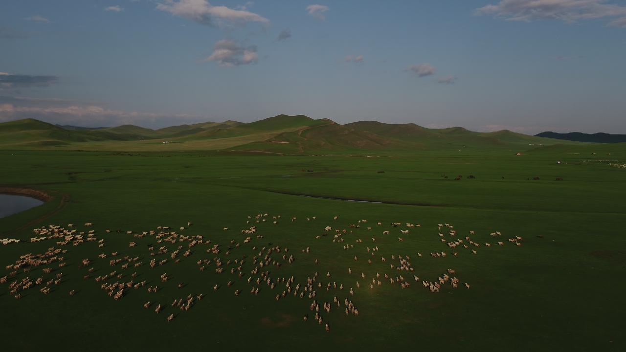 Hulunbuir series | Episode 1: Hulunbuir Grassland - CGTN