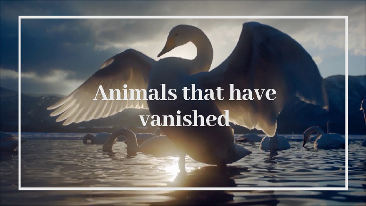 IUCN: Over 38,000 species in danger of extinction - CGTN