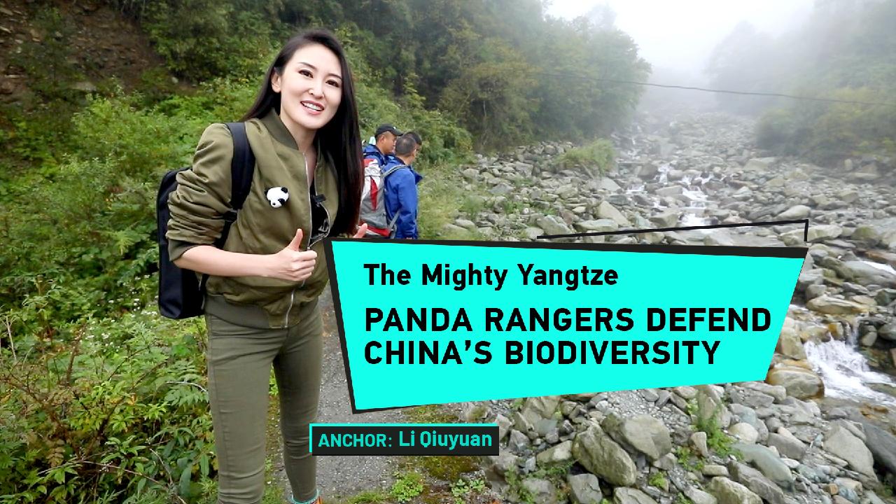 Panda keepers defend China's biodiversity - CGTN