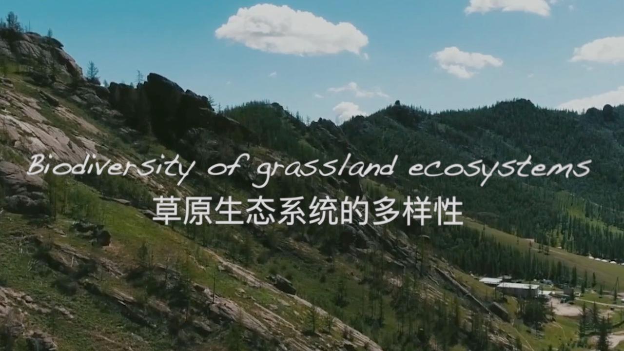 Safeguarding grassland biodiversity to untap carbon sink potential ...