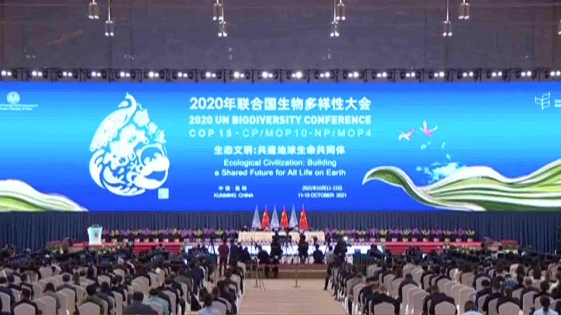 COP15 concludes in SW China's Kunming - CGTN